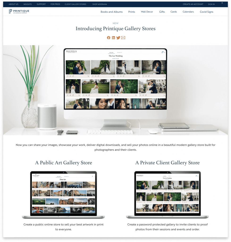 Website Revamp and Web System Upgrade | Printique Case Study | Digiteum