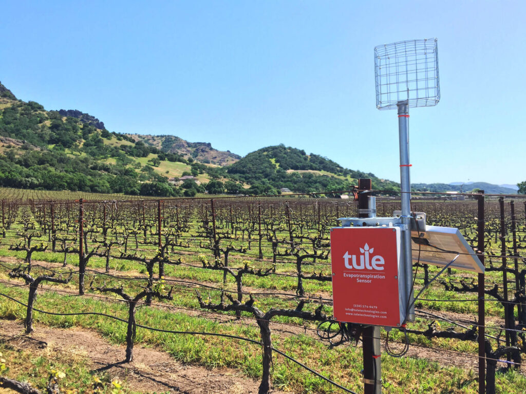 Satellite Farming: How to Use Satellite Data in Agriculture | Digiteum
