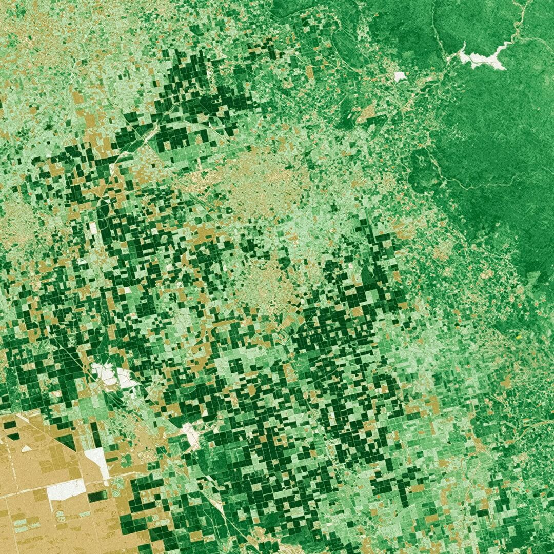 Software Engineering for Smart Farming Platform [Case Study] | Digiteum